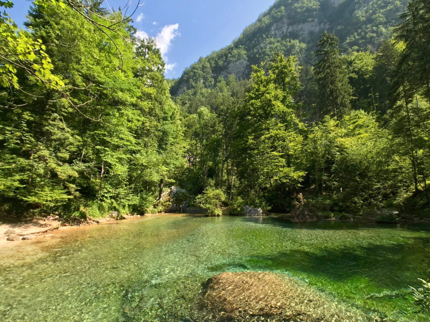 Velika Planina – co nevynechat na horské pastvině • Objevuj Slovinsko